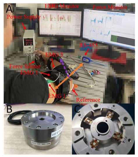 Semg Upper Limb Interaction Force Estimation Framework Based On