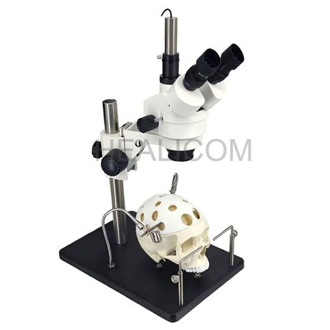 Hyd761 Silicone Model Human Brain Simulation Training Microscope