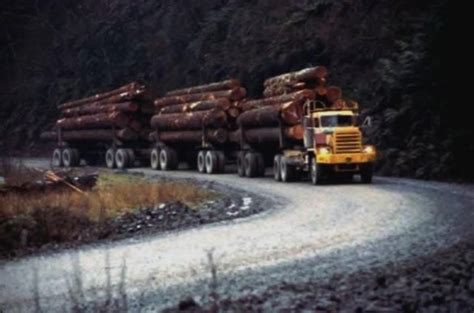 Weyerhaeuser Company Logging Operations Logging Equipment Queen Charlotte Islands Log In