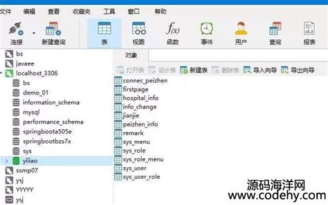 5637 Springbootvue3的陪诊师系统的设计与实现，文档另算需要的联系 源码海洋网