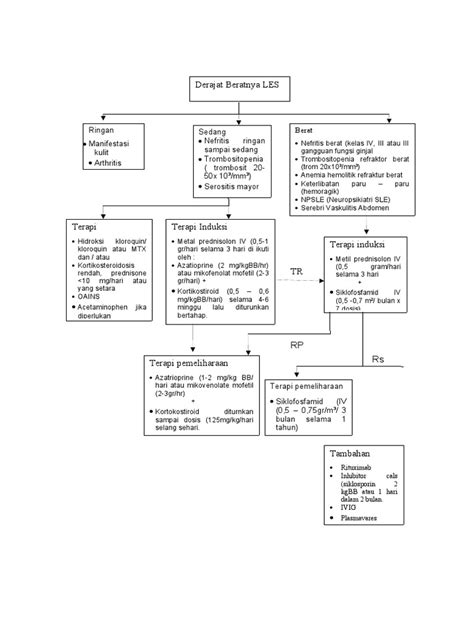 Alur Terapi Lupus Pdf