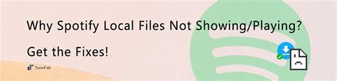 Why Spotify Local Files Not Showing Playing Get 10 Fixes