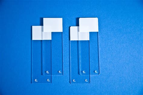 Epredia™ Superfrost™ Excell™ Microscope Adhesion Slides Thermo