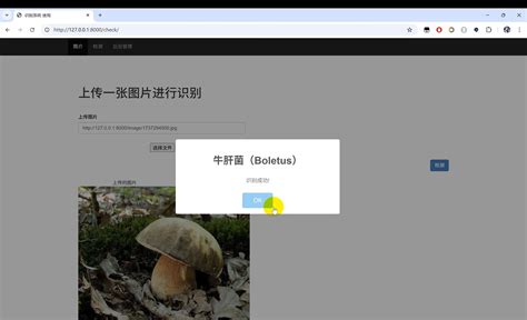 基于python深度学习的【蘑菇识别】系统~卷积神经网络tensorflow图像识别人工智能 知乎 基于python深度学习的【蘑菇识别】系统~卷积神经网络tensorflow图像识别人工智能 知乎