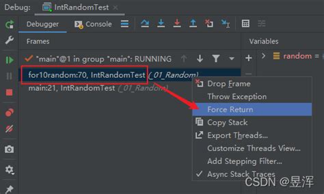 【idea 断点调试】idea断点设置参数值 Csdn博客