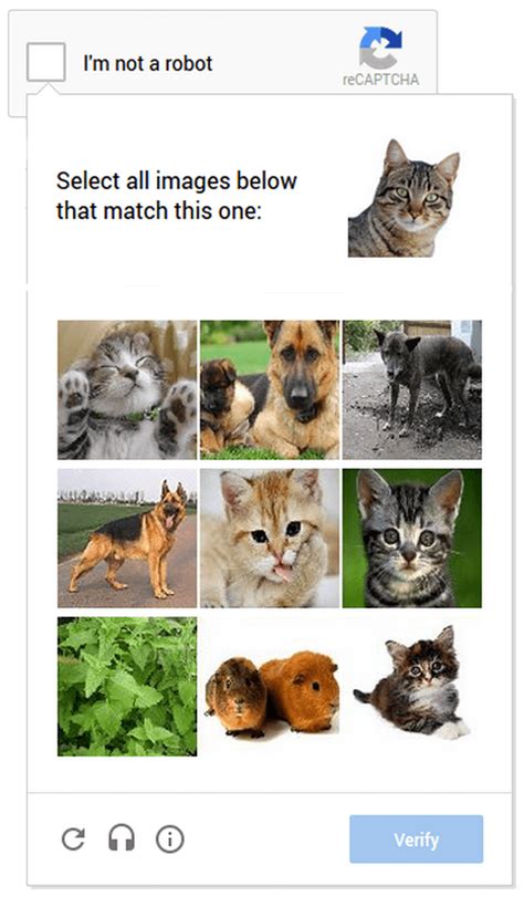 Example Of Image Based Captcha