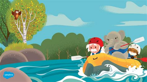 Salesforce Certifications