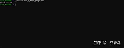 如何在 Linux 系统下运行 Python 语言代码？ 知乎