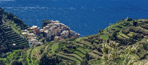 Primaterra – Primaterra wine Cinque Terre