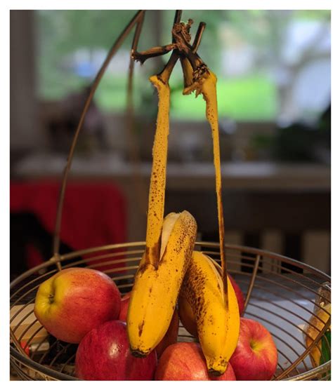 Cosas Perturbadoras Que Ponen A Prueba Nuestra Paciencia Bella Y Genial