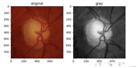 pytorch 图像增强的几个方法 pytorch 泊松噪音 csdn博客
