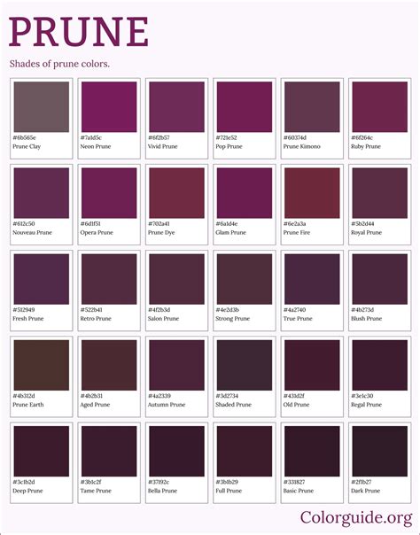 What Is Prune 100 Colors