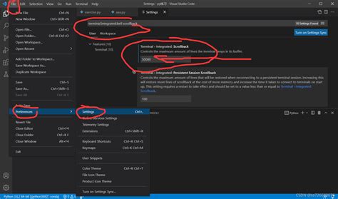 设置vscode终端的最大输出行 vs code 的terminal打印数量 csdn博客