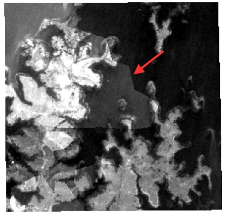 Why Do Merged Rasters In Qgis Look Patchy Geographic Information