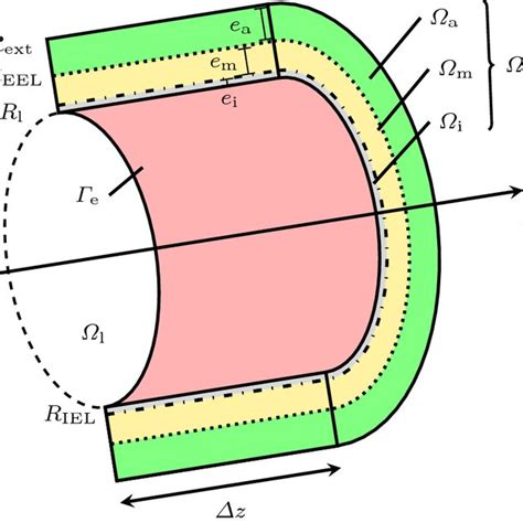 Flowchart Of The Present Multiscale Tissue Growth And Remodeling Download Scientific Diagram