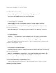 Understanding Chloroplast Structure and Function: Key Insights & | Course Hero