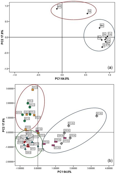 A Loadings Graph For The Two First Principal Components B Scores Download Scientific