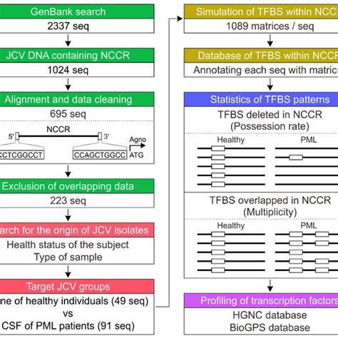 Overall Workflow Of The Data Processing And Analysis Of Transcription Download Scientific