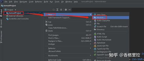 Tomcat的使用教程保姆级别 知乎
