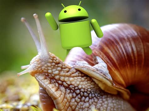 Why Is Your Android Phone So Slow Doesnt Matter Here Is How To Fix