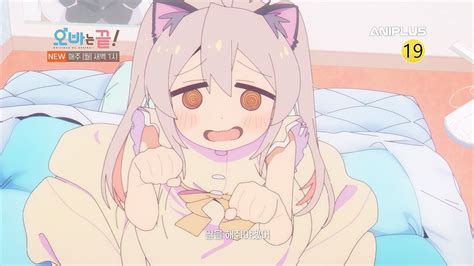 231분기 신작 오빠는 끝 Pv매주 월 새벽 1시 본방사수 Aniplus Youtube