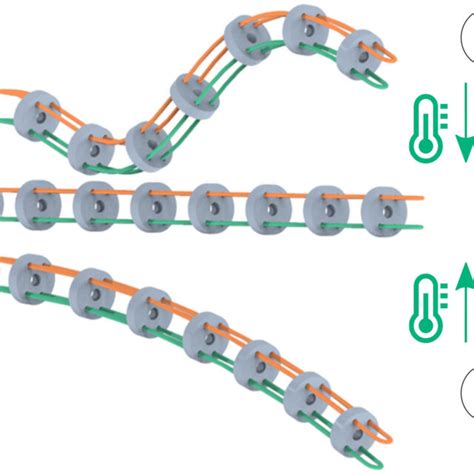 Concept Of The Compact Flexible Actuator For Minimally Invasive Download Scientific Diagram
