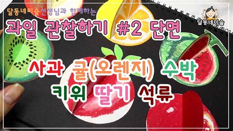 여름미술활동 상큼한 과일 관찰 그리기 2편ㅣ과일 단면ㅣ사과 키위 수박 딸기 석류 귤오렌지ㅣ그림 실력 키우기ㅣ달동네미술ㅣ달동네🌙ㅣ아동미술ㅣ초등미술ㅣ취미미술 Youtube