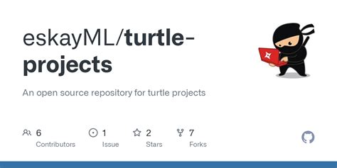 Github Eskaymlturtle Projects Where I Stored My Best Projects Which I Did With The Turtle