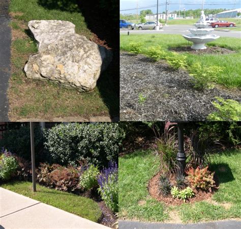 Getting Rid Of “stupid Grass” Lets Grow