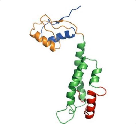 Homology Modeling Of Abpa Hhpred Prediction Of Abpa Protein Rendered Download Scientific
