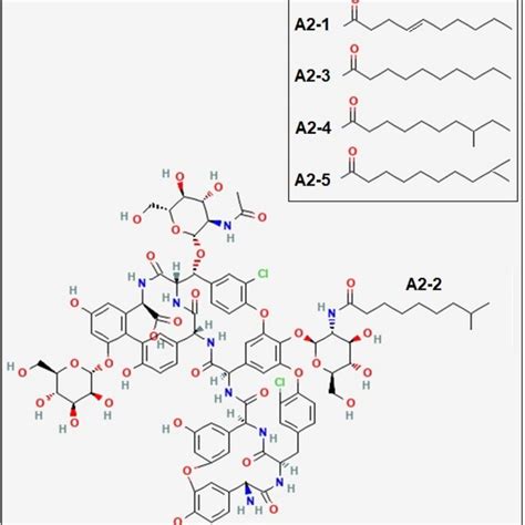 Structure Of Teicoplanin Adapted From The National Institute For