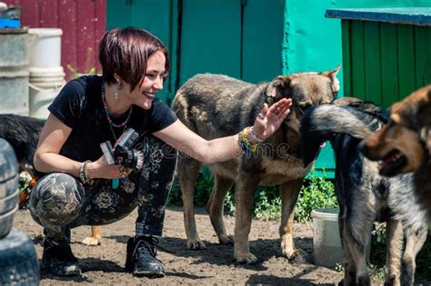 Dog at the Shelter. Animal Shelter Volunteer Takes Care of Dogs Stock Image - Image of adult ...