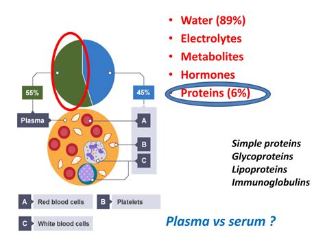 Plasma Proteins Classification And Functions Pptx