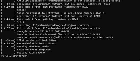 Run Flutter Doctor Android Licenses No Output And Return To Shell