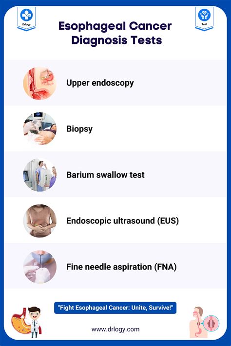 5 Advanced Esophageal Cancer Diagnosis Tests For Detection Drlogy