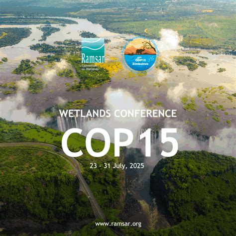 In The Lead Up To The Wetlandscop15 Its A Moment To Reflect On All That Wetlands Do From In The Lead Up To The Wetlandscop15 Its A Moment To Reflect On All That Wetlands Do From