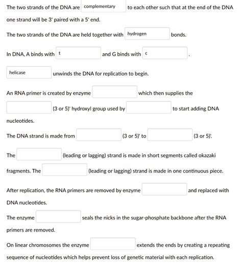 The Two Strands Of The DNA Are Complementary To Each Other Such That At The End Of The DNA One