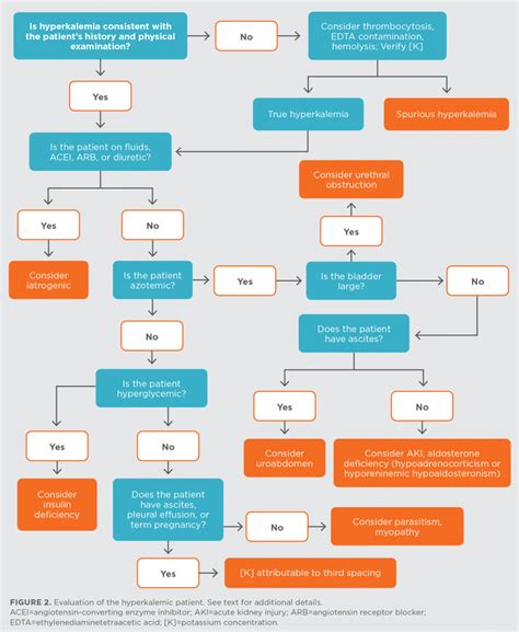 Evaluation And Management Of The Hyperkalemic Patient Todays Veterinary Practice