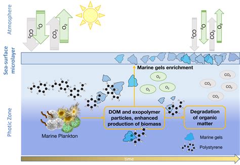 Plastics Affect The Oceans Uptake Of Atmospheric Co₂ Across The Marine