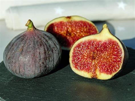 Feigen - fruit 4 you