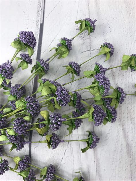 Purple Mini Allium Bush Keleas Florals