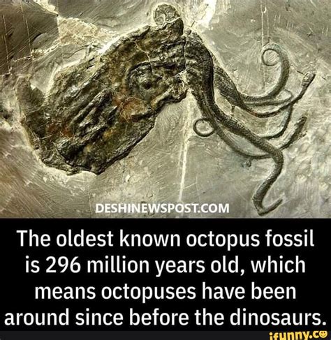 The Oldest Known Octopus Fossil Is 296 Million Years Old Which Means