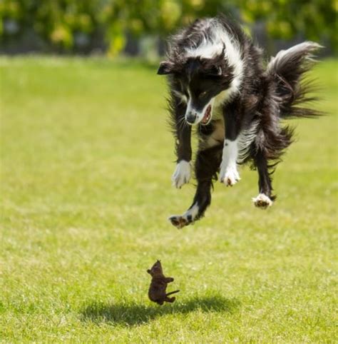 20 Perfectly Timed Hilarious Photos Reckon Talk