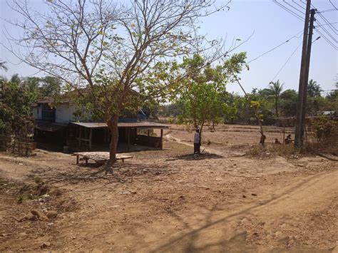 ကျောက်ဖြူမာ စစ်ကောင်စီနေဗီက ပစ်ခတ်လိုက်တေ လက်နက်ကြီးကျည်ကျလို့ နီအိမ်တဆောင် ထိခိုက်ပျက်စီး