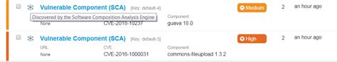 Viewing Vulnerabilities In Seeker