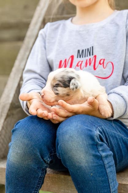 I Love Hamster Images Free Download On Freepik