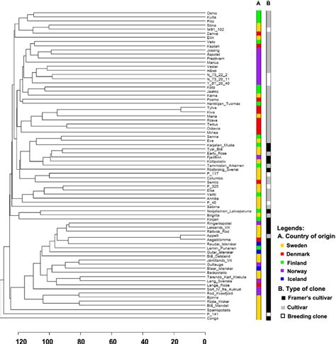 Dendrogram Based On The Euclidian Distance Of Single Nucleotide