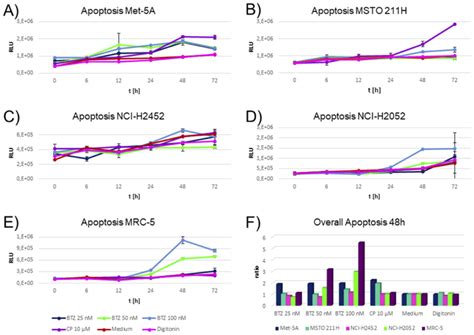 Time Dependent Induction Of Apoptosis In Cell Lines During Incubation Download Scientific