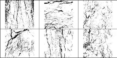High Resolution Tree Bark Texture Brush PS Brushes In Abr Format Free And Easy Download Unlimit