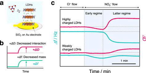 In Situ Monitoring Of Interlayer Interactions During The Ion Storage Of